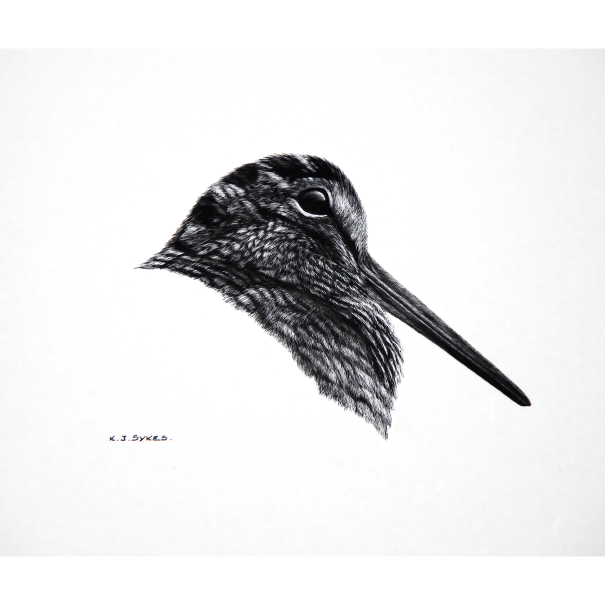 Keith Sykes - Woodcock Card - Carl Russell and Co
