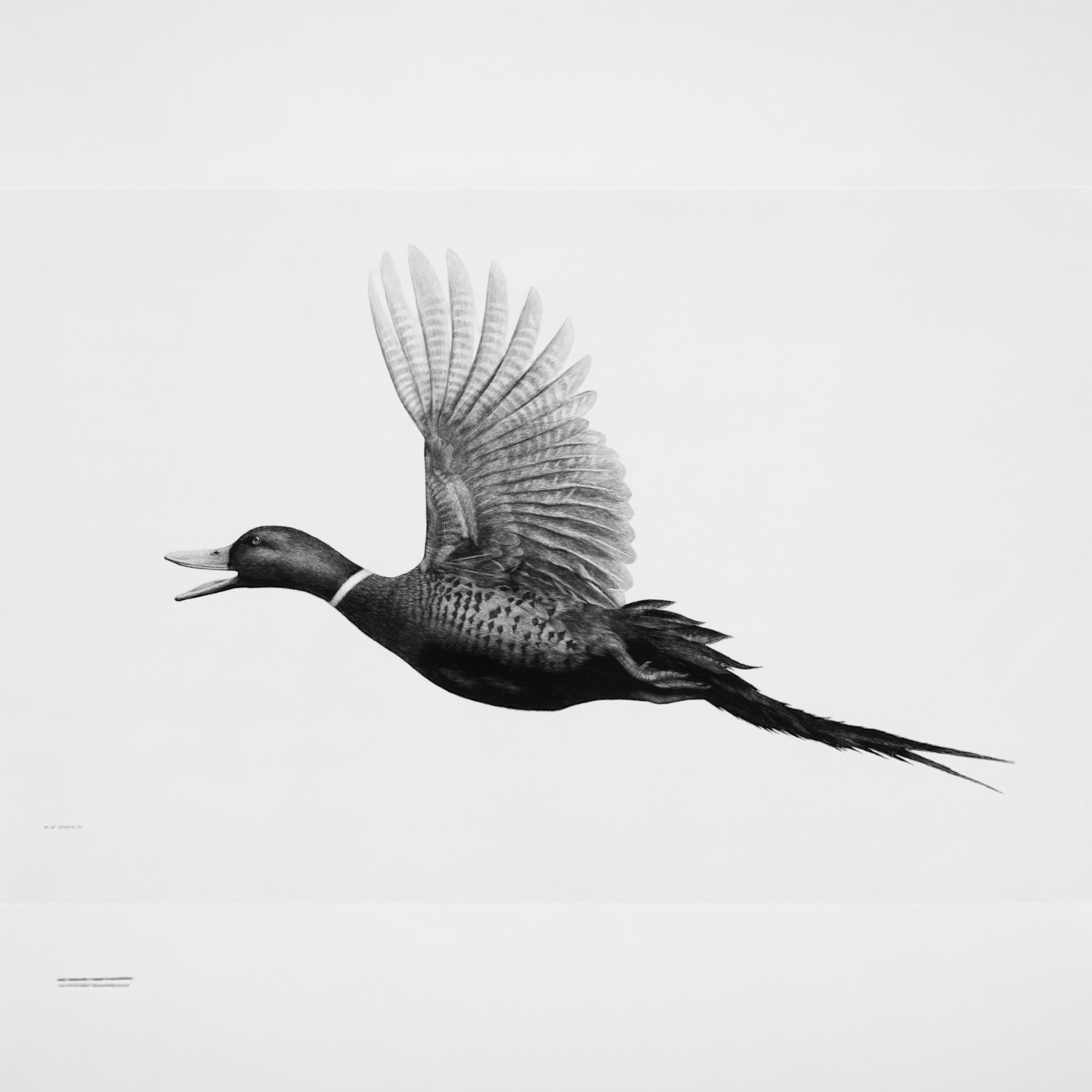 Keith Sykes - Flying Phuck Card - Carl Russell and Co